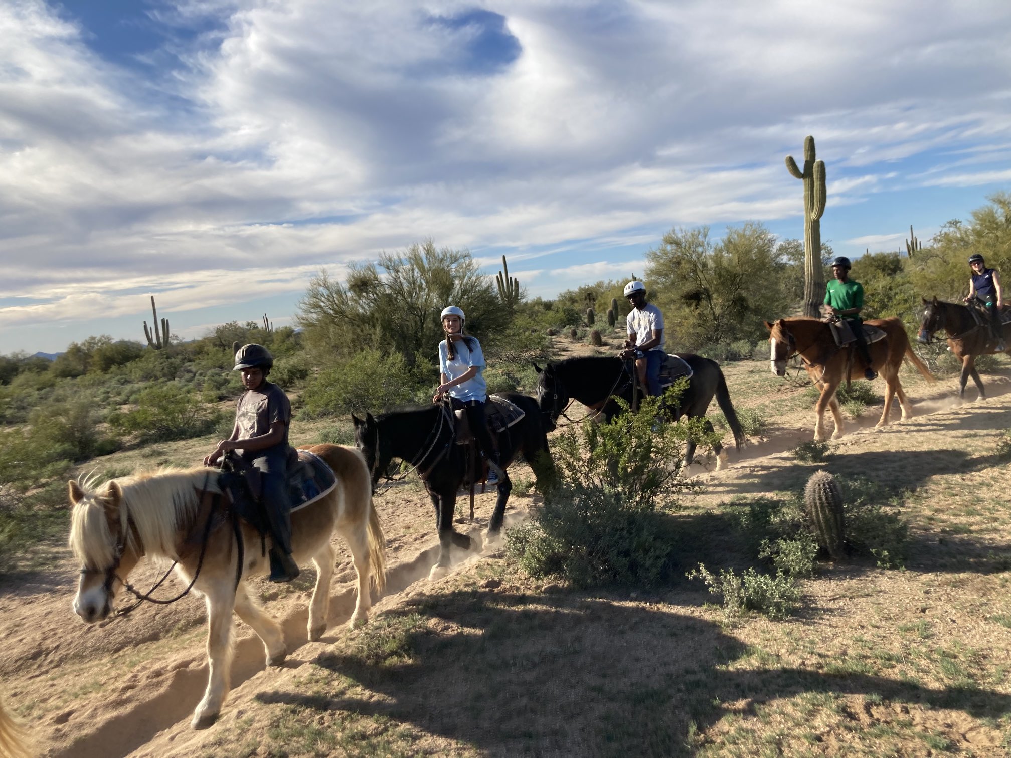 The Trip of a Lifetime... | University of Birmingham School